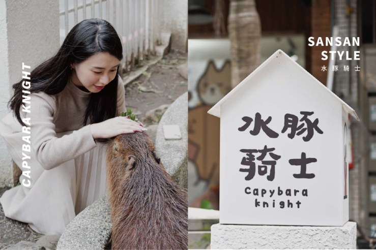 近距離與水豚互動！土城【水豚騎士】2024新菜單 入園送萌系水豚燒 親子友善景點推薦｜sansan玩新北 – sansan小矮人走跳日記
